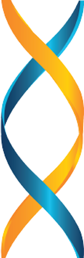 First Insight achieves expansive growth during 2021; FI Customers ...